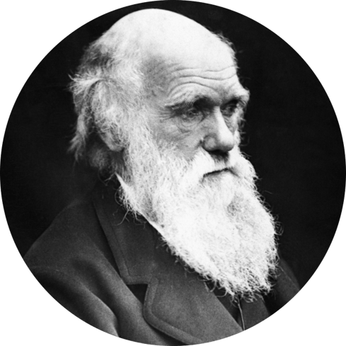 Descubra como surgiram os idiomas - Unit